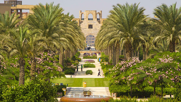 The American University in Cairo